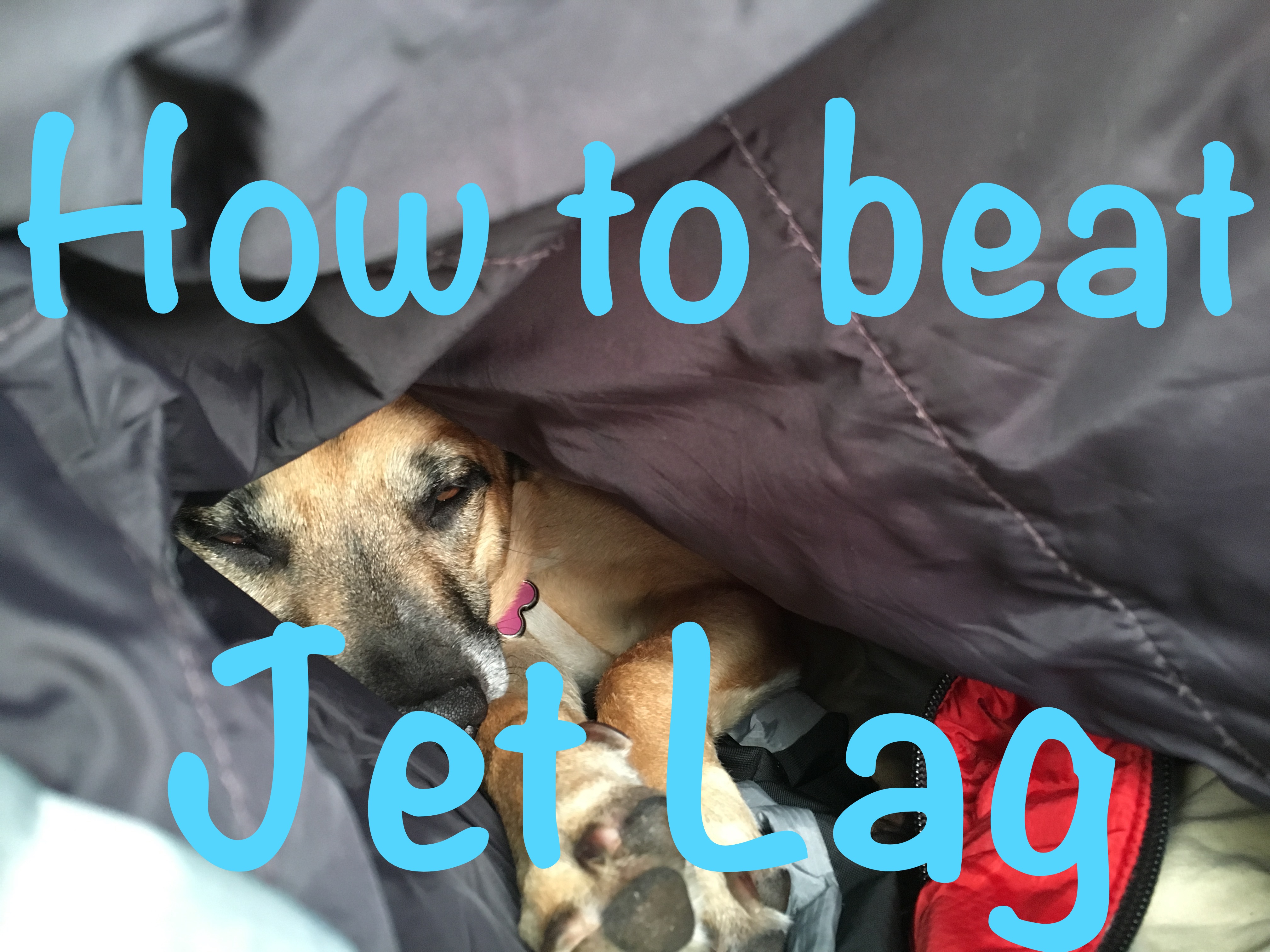 Travel Tips – Wandering Abroad and Beyond